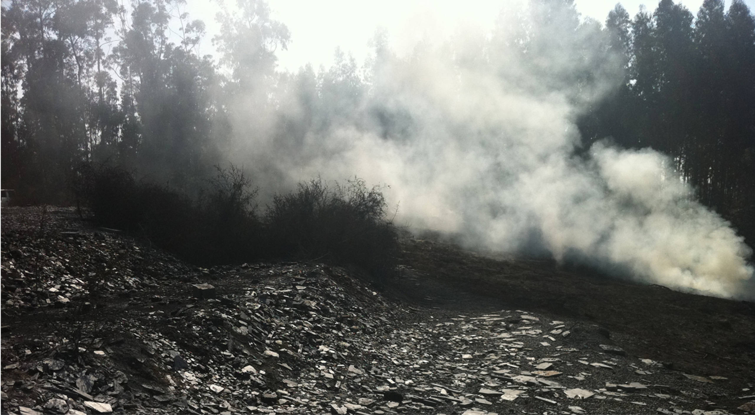 Bureau Bas Smets - landscape architecture